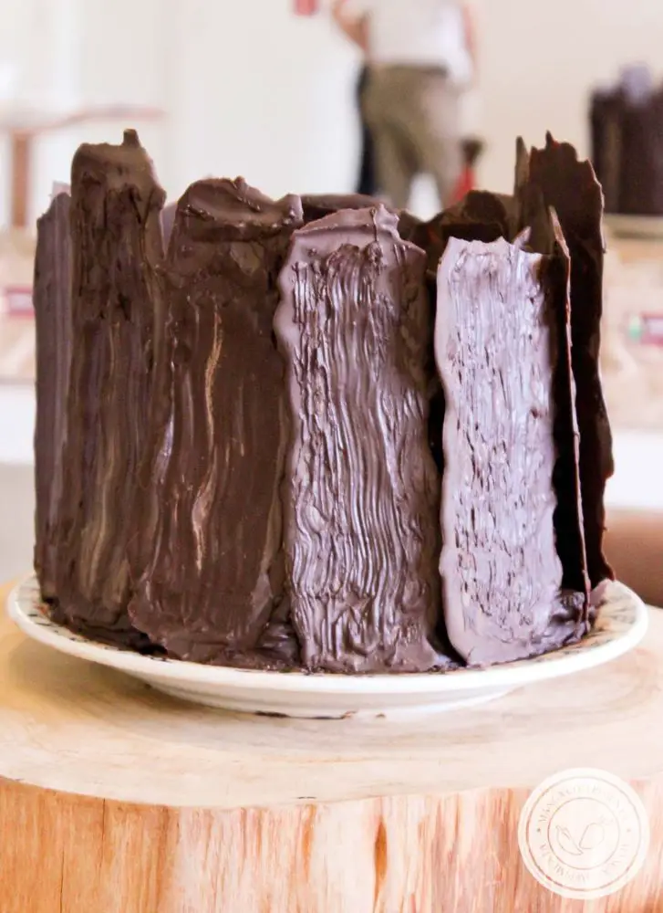 Bolo de Aniversário Tronco de Árvore - Manga com Pimenta