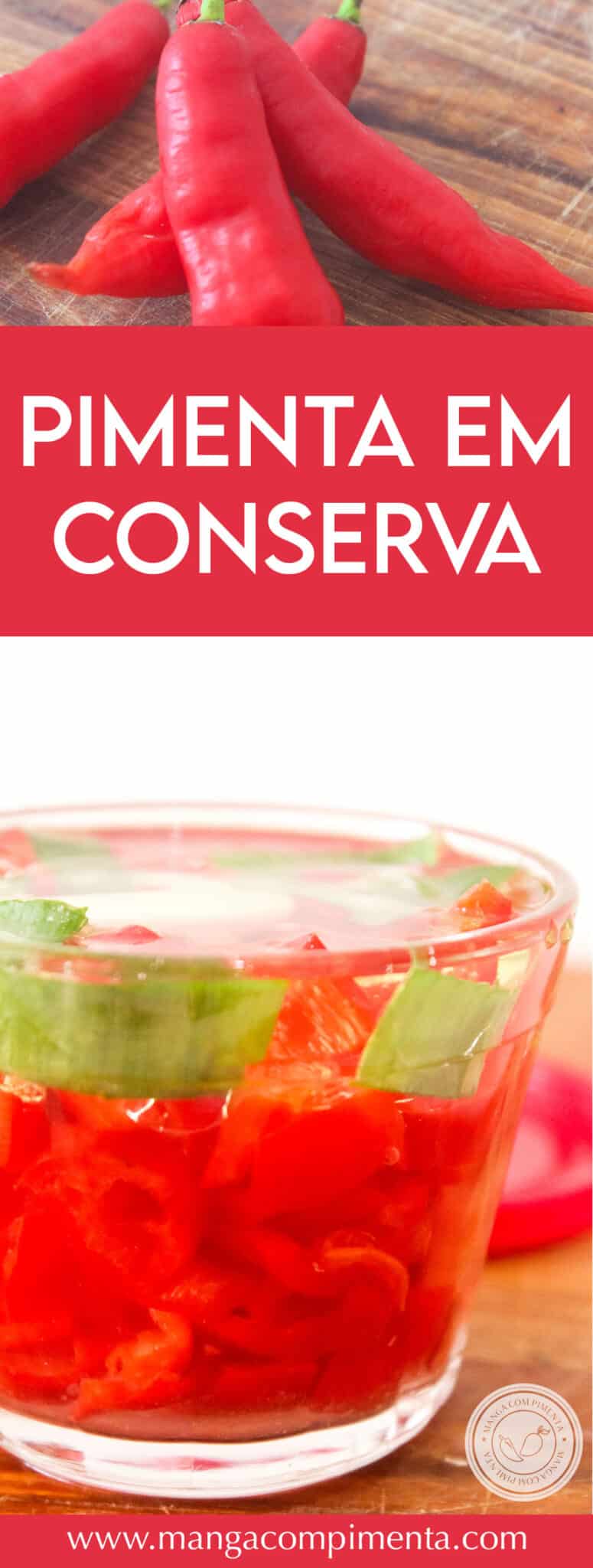 Pimenta em Conserva | Fácil de fazer! - Manga com Pimenta