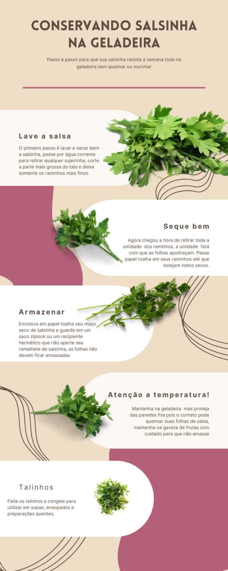 Conservando a Salsinha Fresca em casa! - Manga com Pimenta